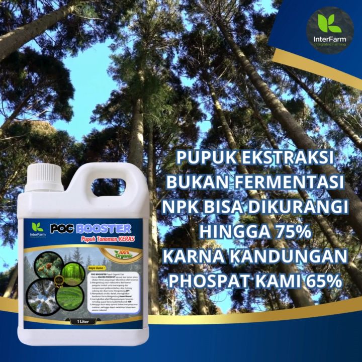 POC 1 Liter Pupuk Tanaman Pinus Pupuk Penyubur Pohon Pinus Pupuk ...