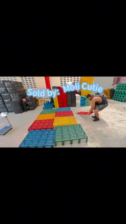 Pearlstar HEAVY DUTY Elevated Plastic Matting Dog or any Purposes ...