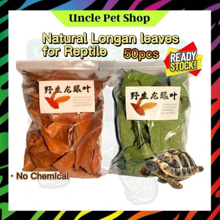 Longan leaf for turtle kura kura aquarium anti inflammation skin 龟用龙眼叶 ...