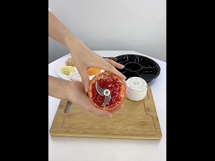 NEWLIFECARDIO 250ML Electric Mini Home Food Chopping Garlic Grinding ...