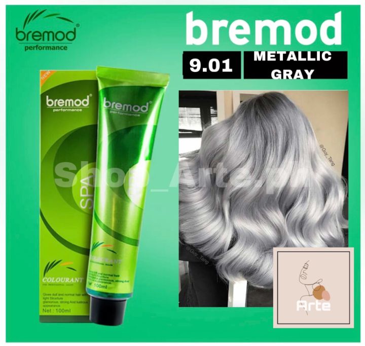 BREMOD 9.01 METALLIC GRAY Hair Colorant Set | Lazada PH