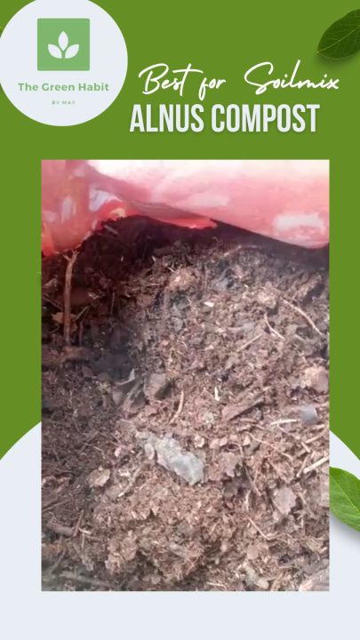 TGH Pure Dried Alnus Tree Compost Best for Soil Mix for Cactus and ...