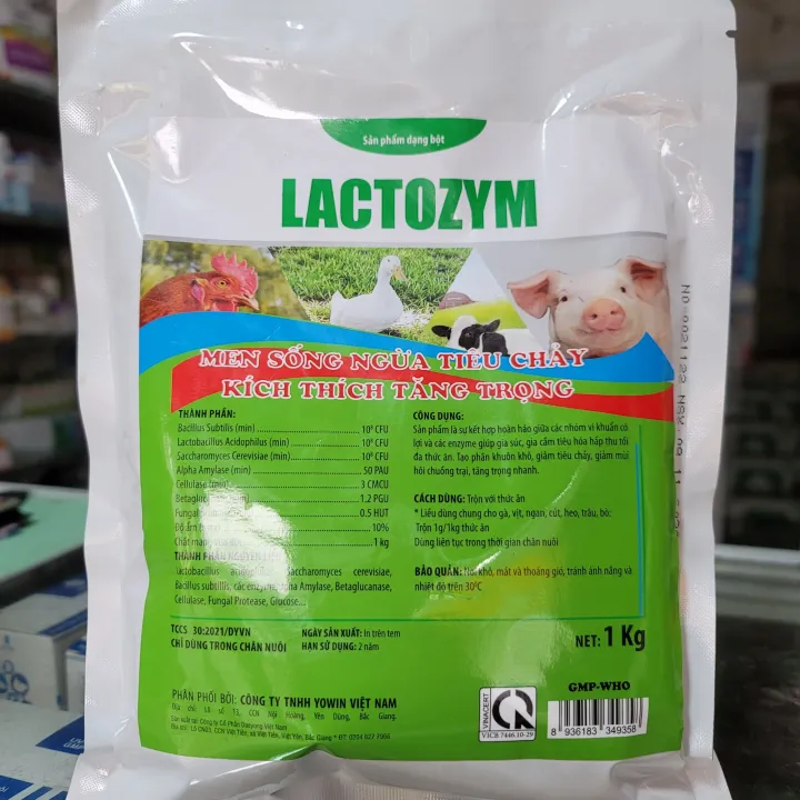 Gói LACTOZYM 1kg Men Sống Ngừa Tiêu Chảy, Kích Thích Tăng Trọng Dùng ...