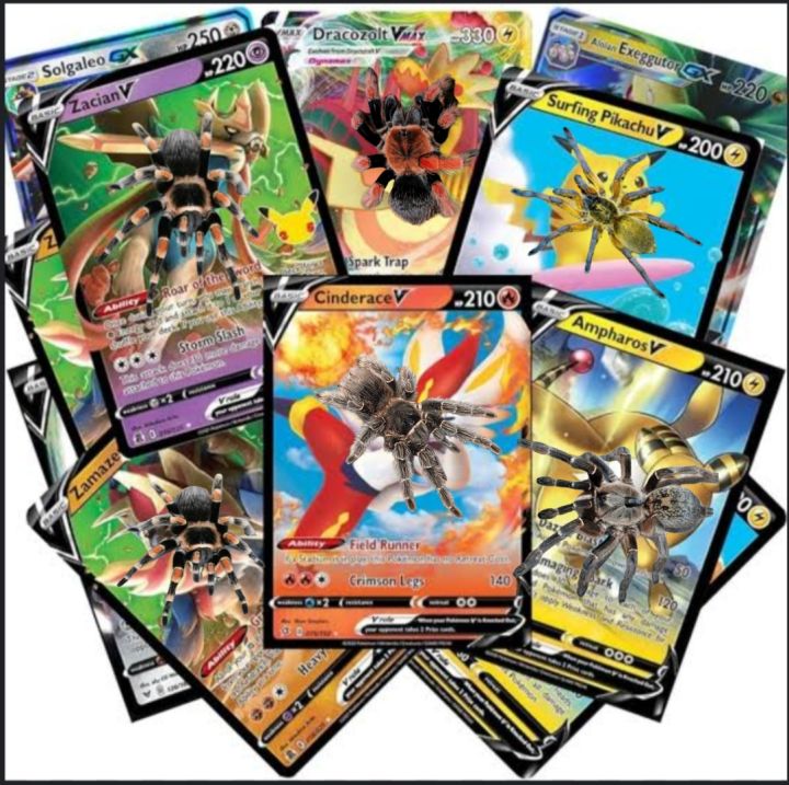 Pokemon Collectible Cards (Tarantula Slings) | Lazada PH