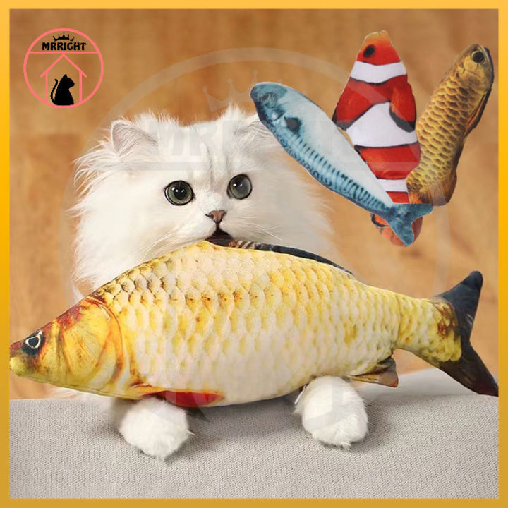 Mainan kucing bentuk Catmint Fish ikan dan catnip mainan boneka tahan ... Mainan kucing bentuk Catmint Fish ikan dan catnip mainan boneka tahan ...