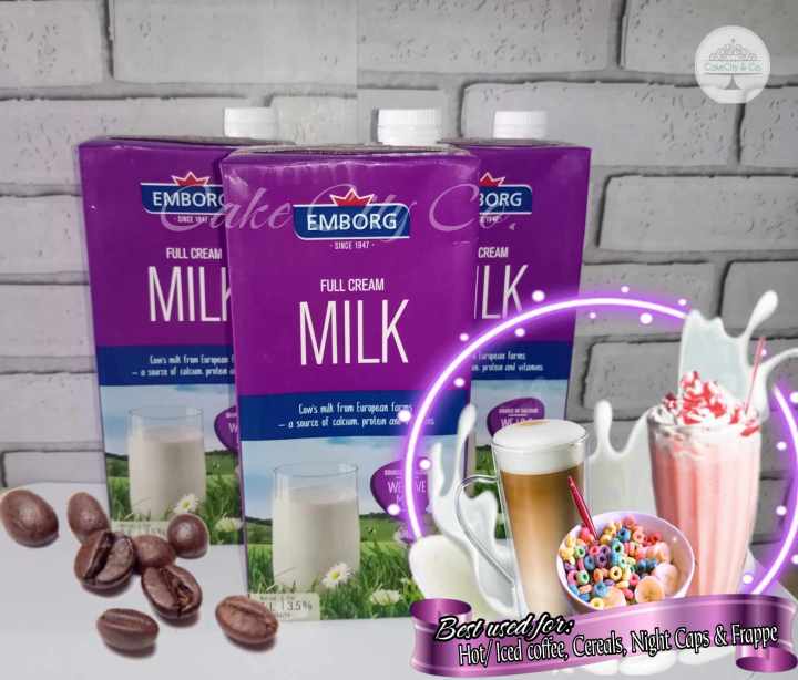 Emborg Full Cream Milk 1L | Lazada PH