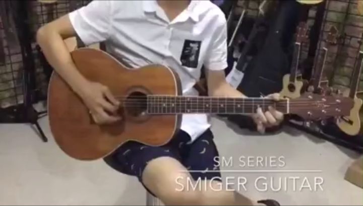 【Ready Stocks】Minsine Deviser/Smiger TG-15W,30W Electric Guitar ...