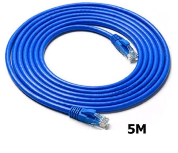 Lan Cable 5 meter CAT5 | Lazada PH