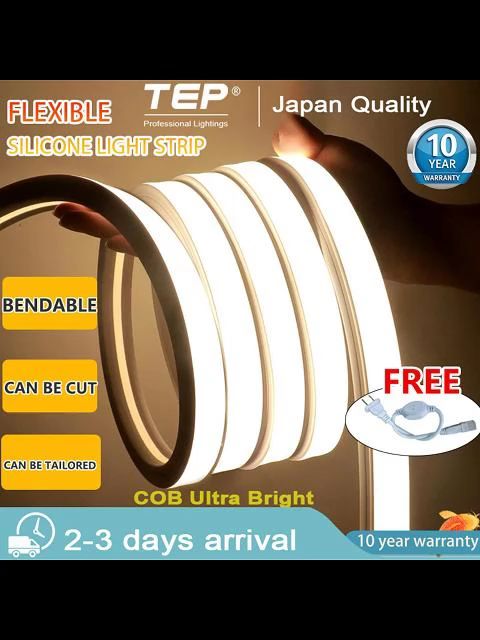【BUY 1 TAKE 1 BUY 800-50 】TEP strip light ceiling LED with light ...