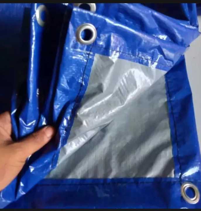 Terpal Plastik Ukuran 2x2,5 & 2x3 Meter ukuran sesuai gambar Terpal ...