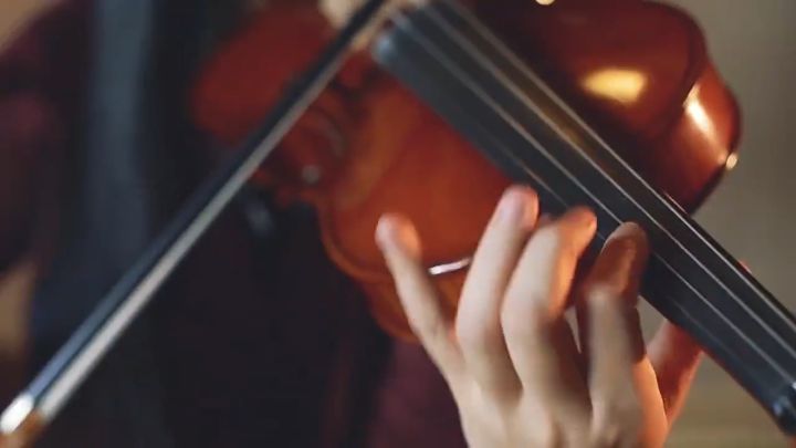 Rixton Professional Music Violin 4/4 Full Set of Rosin Free Packaging ...