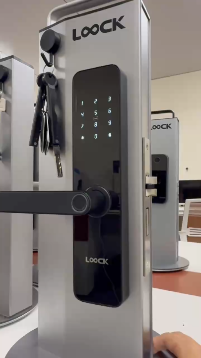 LOOCK B02 TTLOCK TUYA Smart Digital Door Lock Airbnb Hotel smart home ...