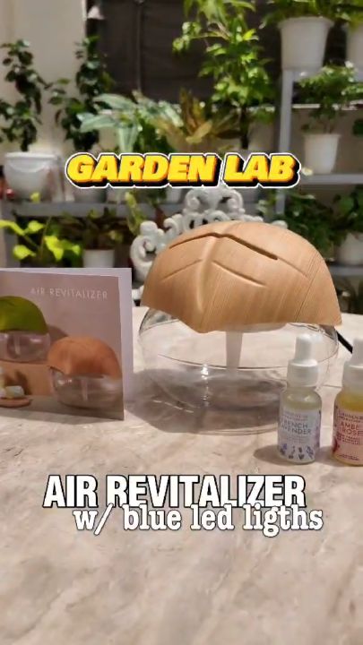 Air Purifier Wood Minimalist Korean Design Humidifier and Revitalizer ...