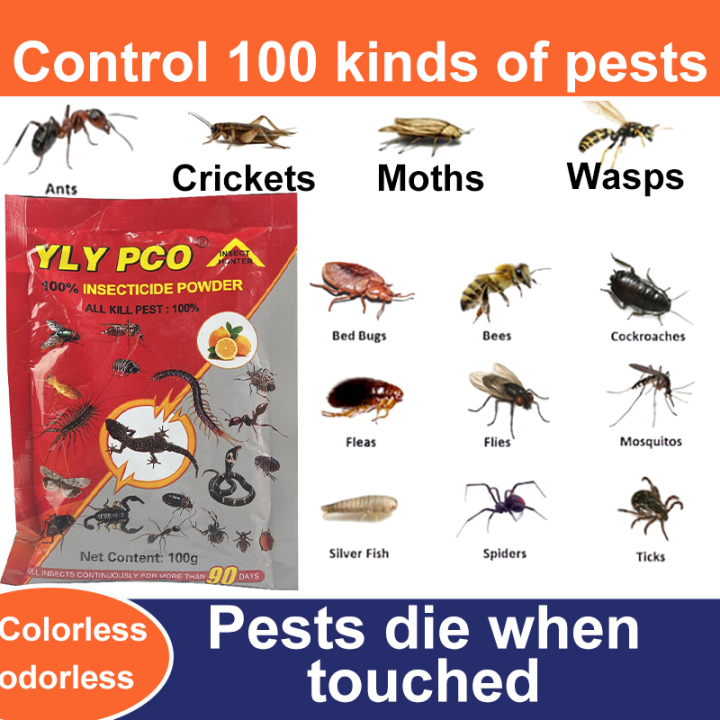 Pest Buster DD Insect repellent Insect killer racun serangga pest ...