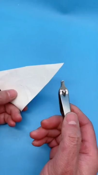 1/2/5Pcs Stainless steel Chick Toe puncher (nail cutter type) Toe ...