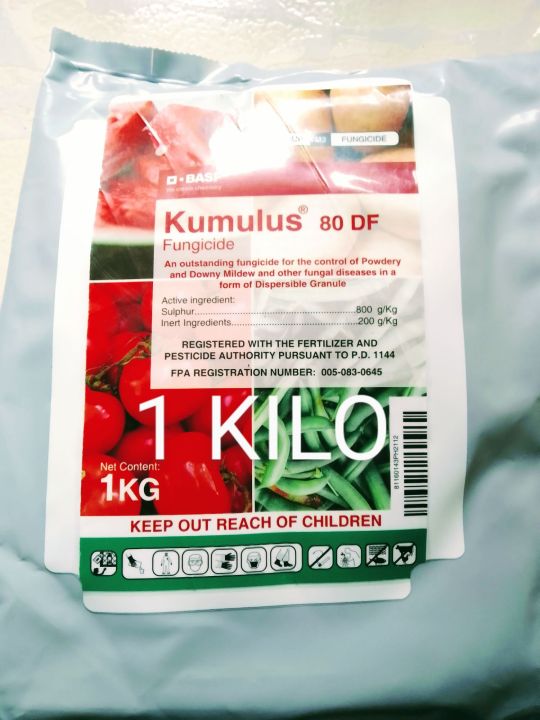 KUMULUS 80 DF SULPHUR BASE FUNGICIDE (1 KILO )BY VASF | Lazada PH