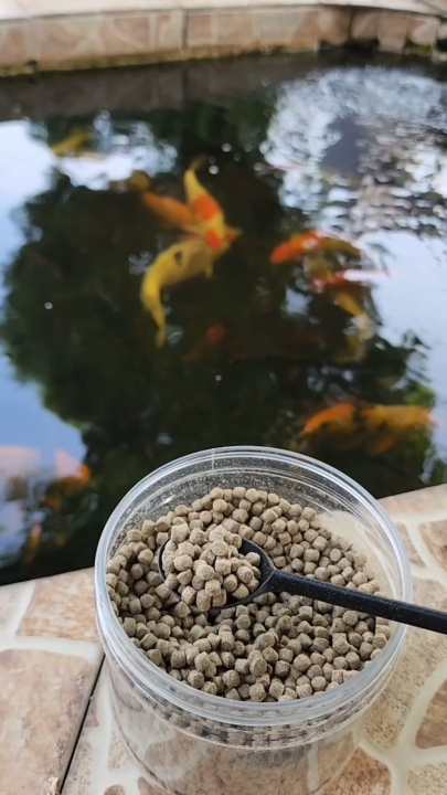 Cargill 6363 Fresh Water Fish Feed Floating Pellets Makanan Ikan Pallet ...