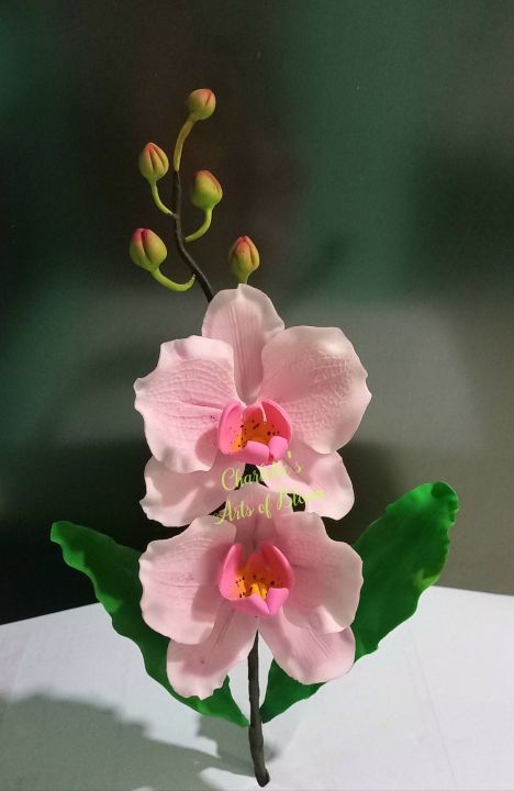 Edible Moth Orchids/Phalaenopsis For Cake Topper | Lazada PH
