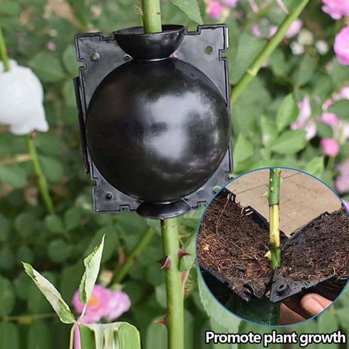 5/8/12CM Plant Rooting Device High-Pressure Propagation Ball Plant ...