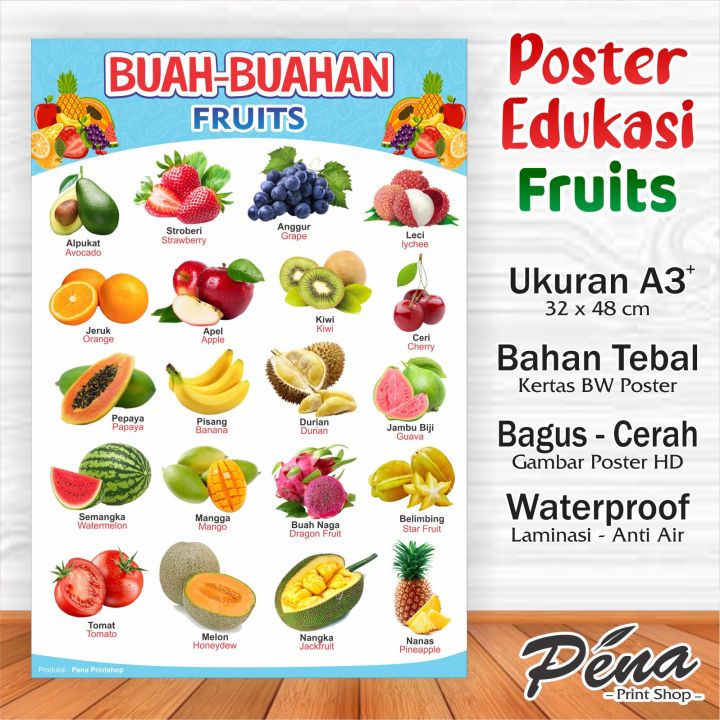 Poster Edukasi Anak / Poster Nama Buah Fruits / Poster Belajar Anak ...