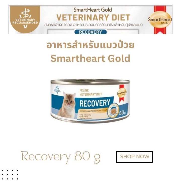 Smartheart Gold Recovery อาหารเปียกแมวป่วย พักฟื้น หลังผ่าตัด | Lazada ...