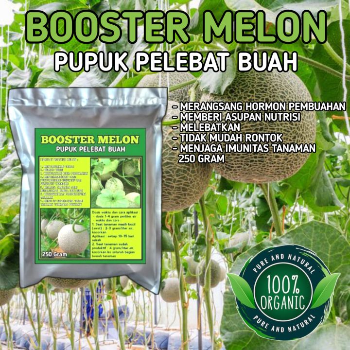 PUPUK BOOSTER MELON Stella green pupuk pelebat buah nutrisi untuk buah melon kemasan 250 gram ...
