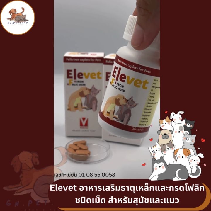 Elevet ชนิดเม็ด เสริมธาตุเหล็ก กรดโฟลิกและวิตามิน สำหรับสุนัขและแมวตั้ง ...