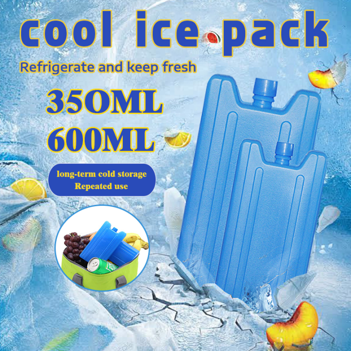 600ML 300ML Reusable Ice Packs Breastmilk Storage Baby Cooler Bag Lunch ...