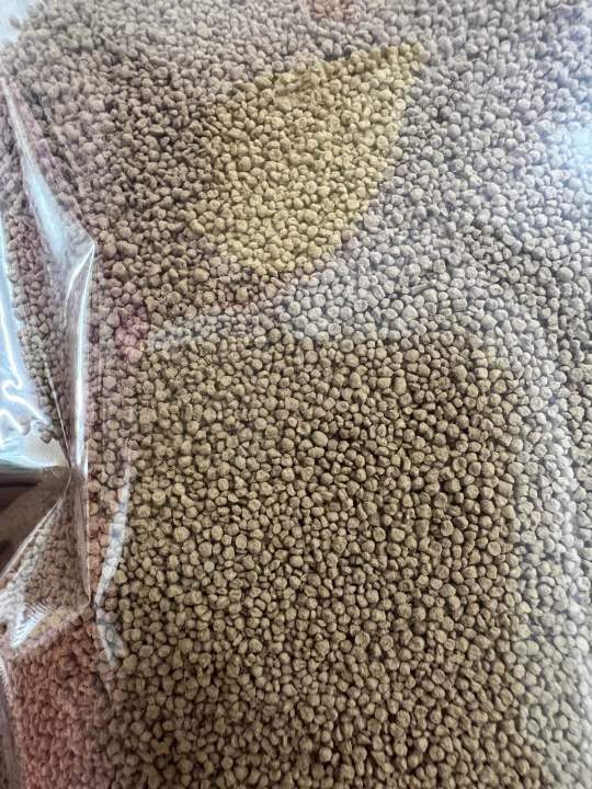 JAPAN Marine Fish Pallet High Protein 90G S-2 | Lazada