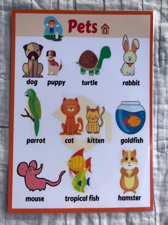 PeTS LAMINATED CHART | Lazada PH