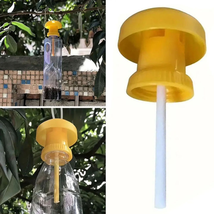 Fruit Fly Trap Killer Plastic Drosophila Trap Fly Catcher Pest Insect Control | Lazada Singapore
