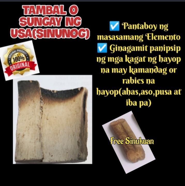 Sungay ng Usa(sinunog) Panipsip ng kagat ng mga hayop na makamandag o ...