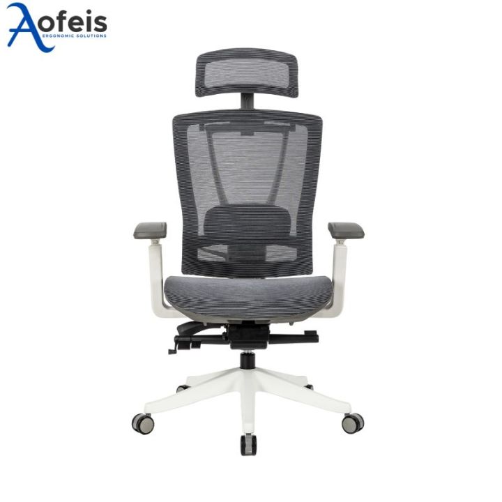 Aofeis ErgoChair ALPHA Full Mesh Ergonomic Office Computer Chair ...