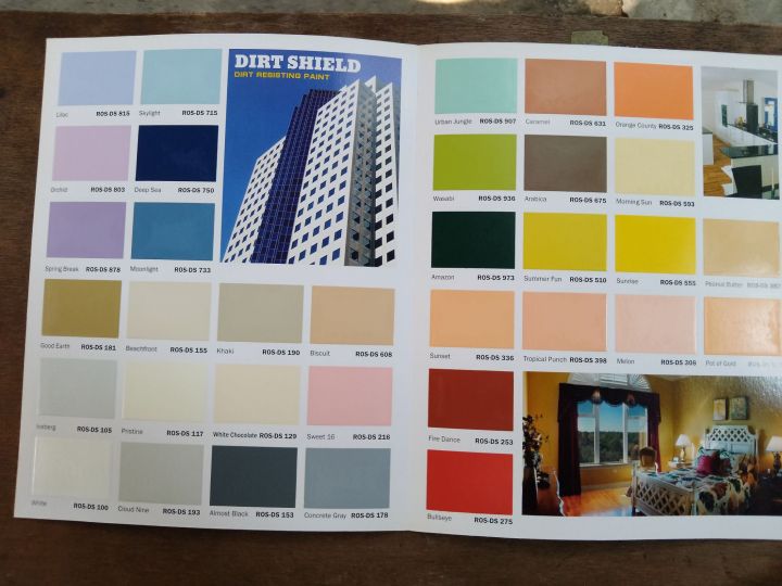 RAIN OR SHINE DIRT SHIELD COLOR CHART COMPLETE GUIDE | Lazada PH