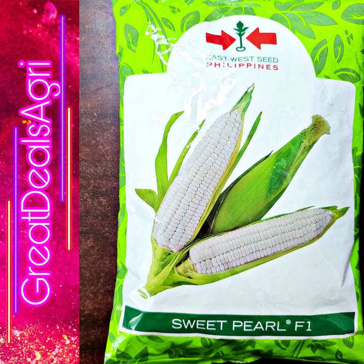 SWEET PEARL F1 HYBRID WAXY CORN SEEDS (KILO) EAST WEST SEEDS | Lazada PH