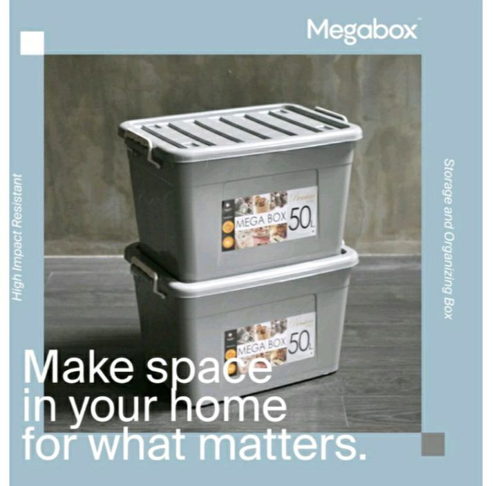 STORAGE AND ORGANIZING BOX 50L (MEGABOX) | Lazada PH