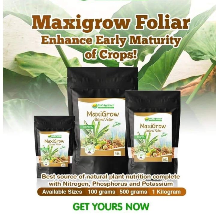 Maxigrow Foliar Fertilizer 500g | CHC Agritech Maxigrow | Maxigrow ...