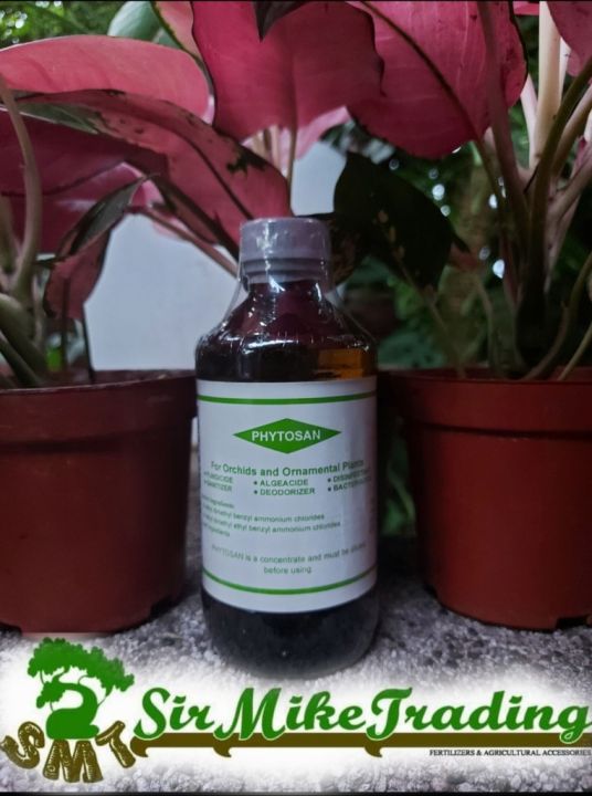 PHYTOSAN LIQUID FUNGICIDE 500ML | Lazada PH