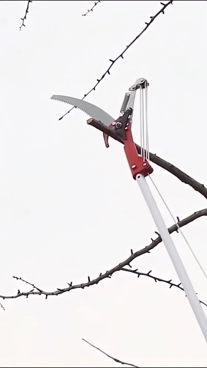Peralatan Berkebun Gunting Dahan PlusTali Tarik Potong Ranting Tree ...