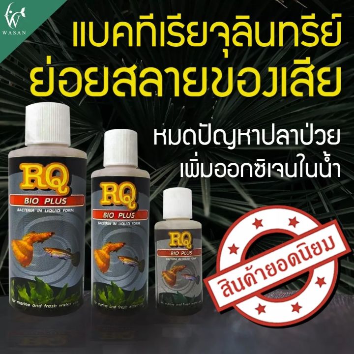 RQ BIO PLUS แบคทีเรียย่อยสลายของเสีย | Lazada.co.th
