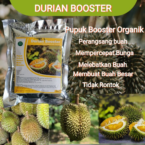 pupuk durian organik booster durian agar cepat berbuah lebat besar tidak rontok | Lazada Indonesia