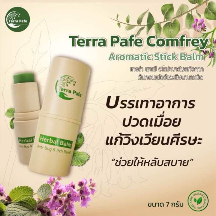 (พร้อมส่ง) Terra Pafe Comfrey Aromatic Stick Balm🌿 บาล์มคอมเฟรย์ อโรม่า ...