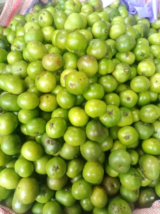 Batwan Best For KBL & Sinigang Metro Manila Only | Lazada PH