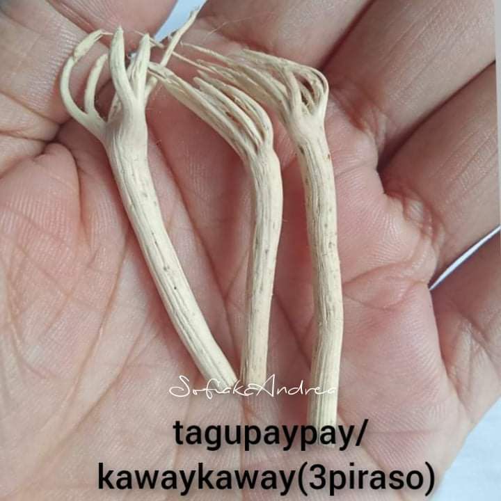tagupaypay PAMPASWERTE 3 PCs. | Lazada PH