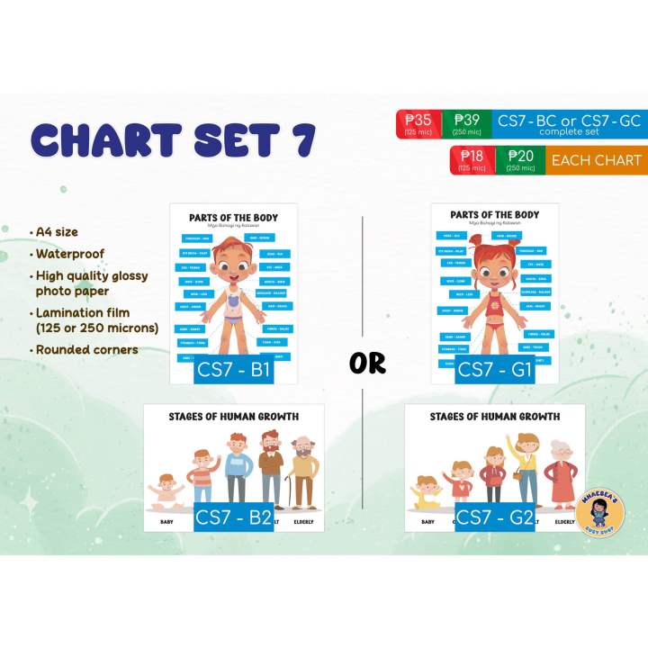 Laminated Educational Chart for Kids Set 7 - Parts of The Body, Stages ...