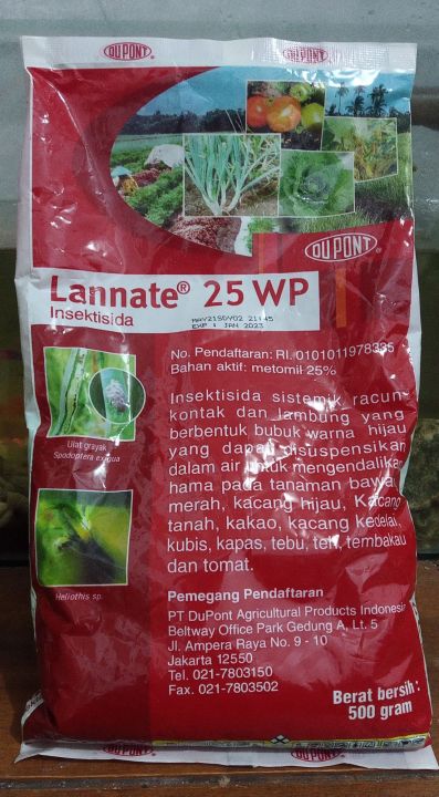 INSEKTISIDA DUPONT LANNATE 25 WP 500 GRAM | Lazada Indonesia