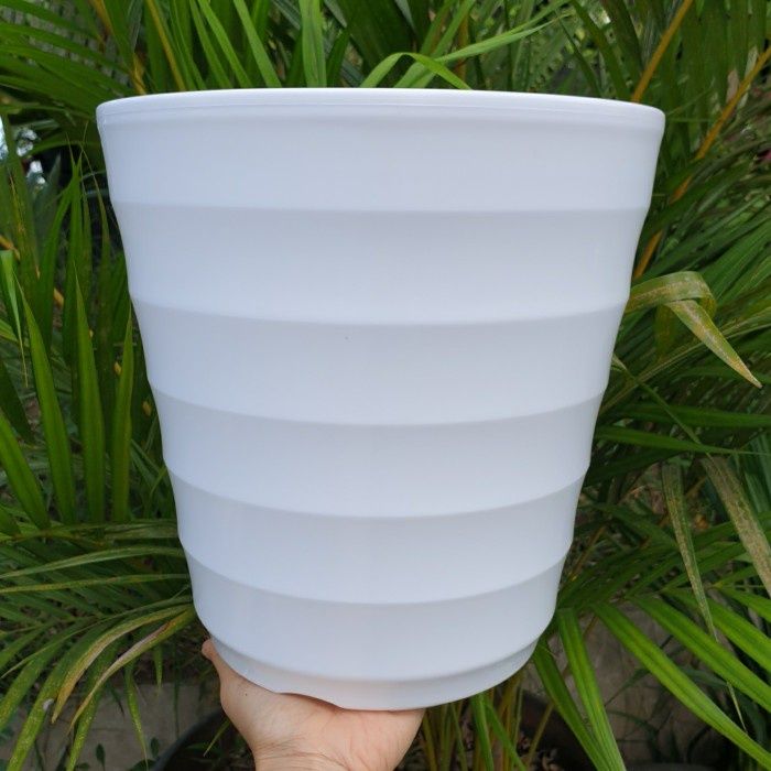POT BUNGA LOVENIA MADO PIRUS DIAMETER 32 CM : Pot Bunga pirus Tinggi ...