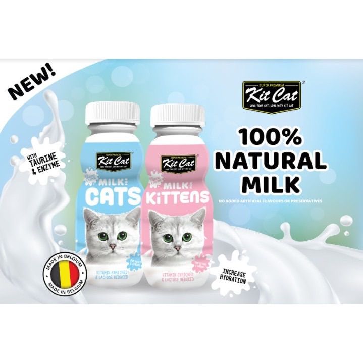 Kit cat Milk | Lazada Singapore