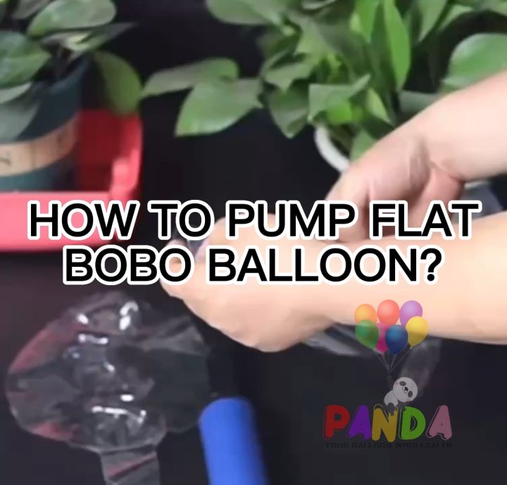 [PANDA] 8/13/18/20/24/36 Inch Bobo Balloon Bubble Balloon Bobo Belon ...