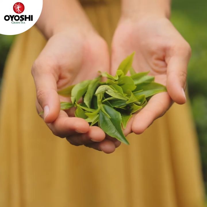 Oyoshi Original Green Tea 250ml x 4 x 6 | Lazada